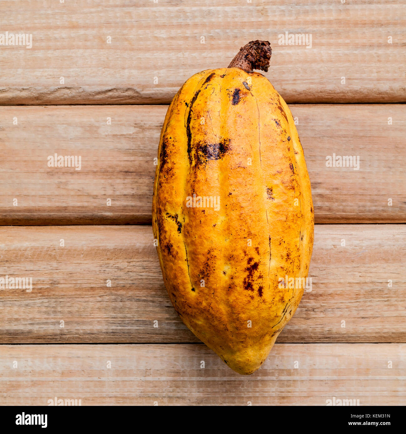 Ripe Indonesia's cocoa setup on rustic wooden background Stock Photo ...