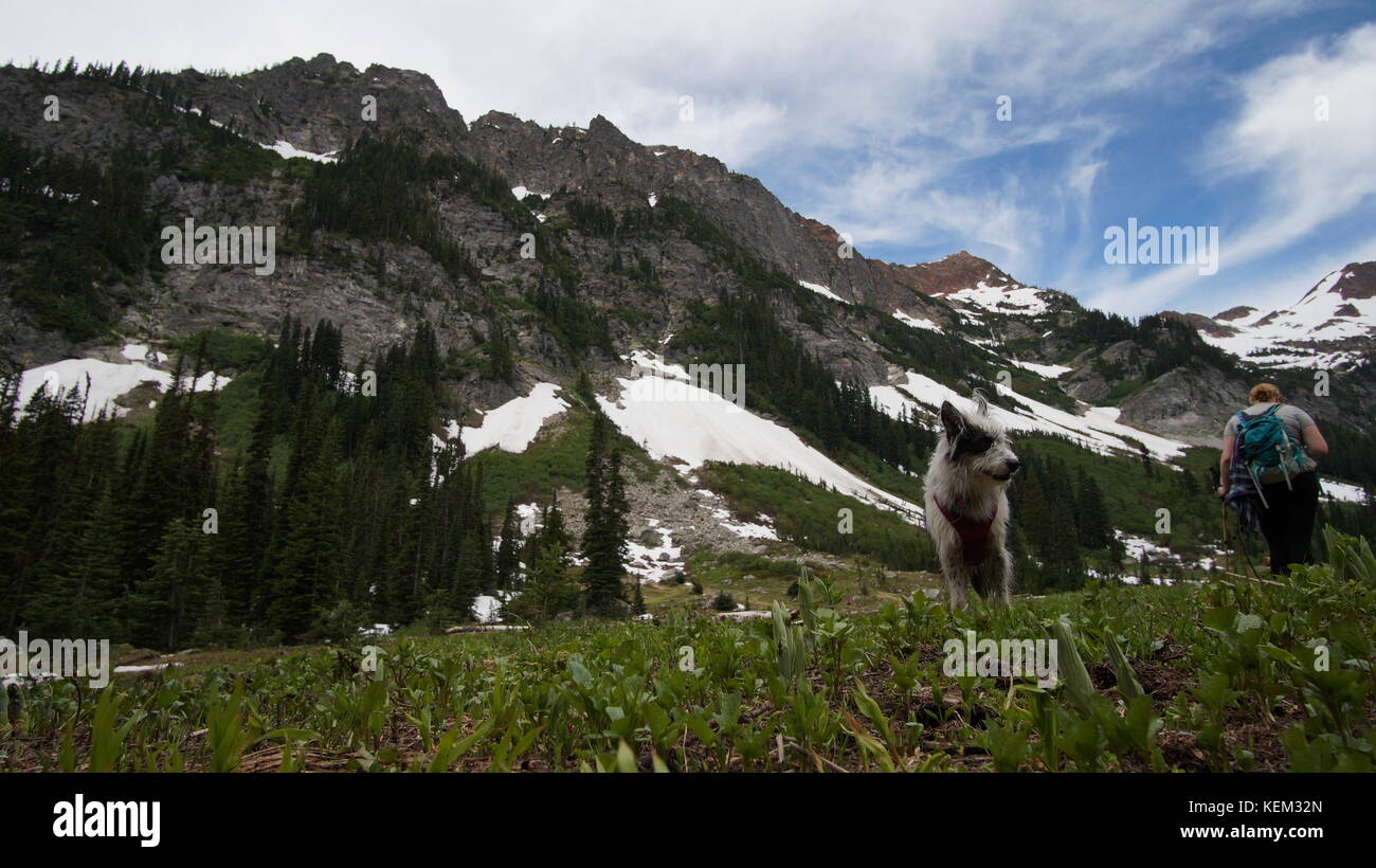 Exploring Washington State, the Great Pacific Northwest Stock Photo - Alamy