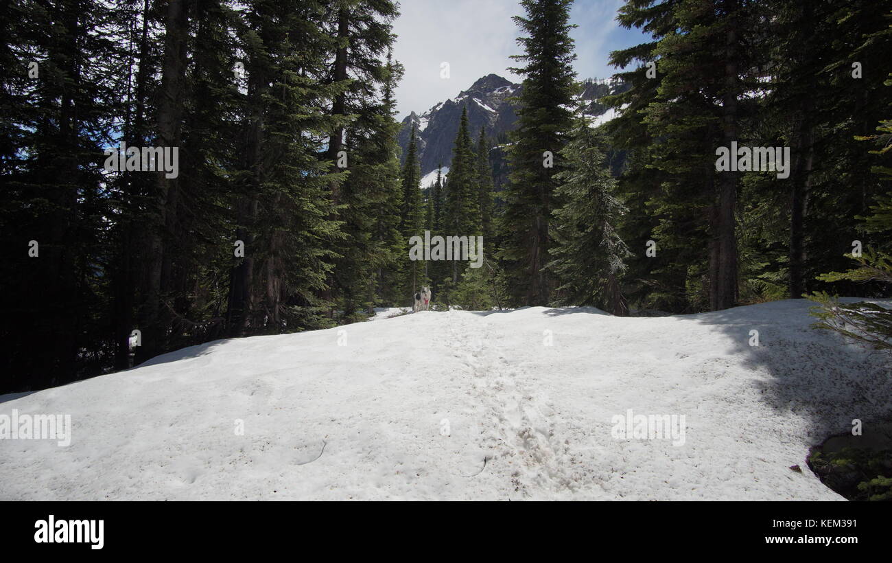 Exploring Washington State, the Great Pacific Northwest Stock Photo - Alamy