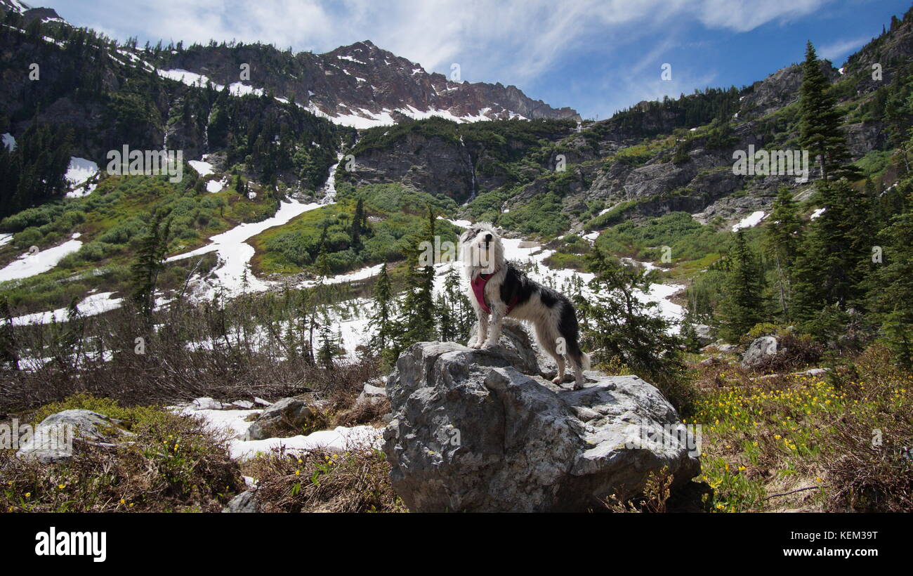 Exploring Washington State, the Great Pacific Northwest Stock Photo - Alamy