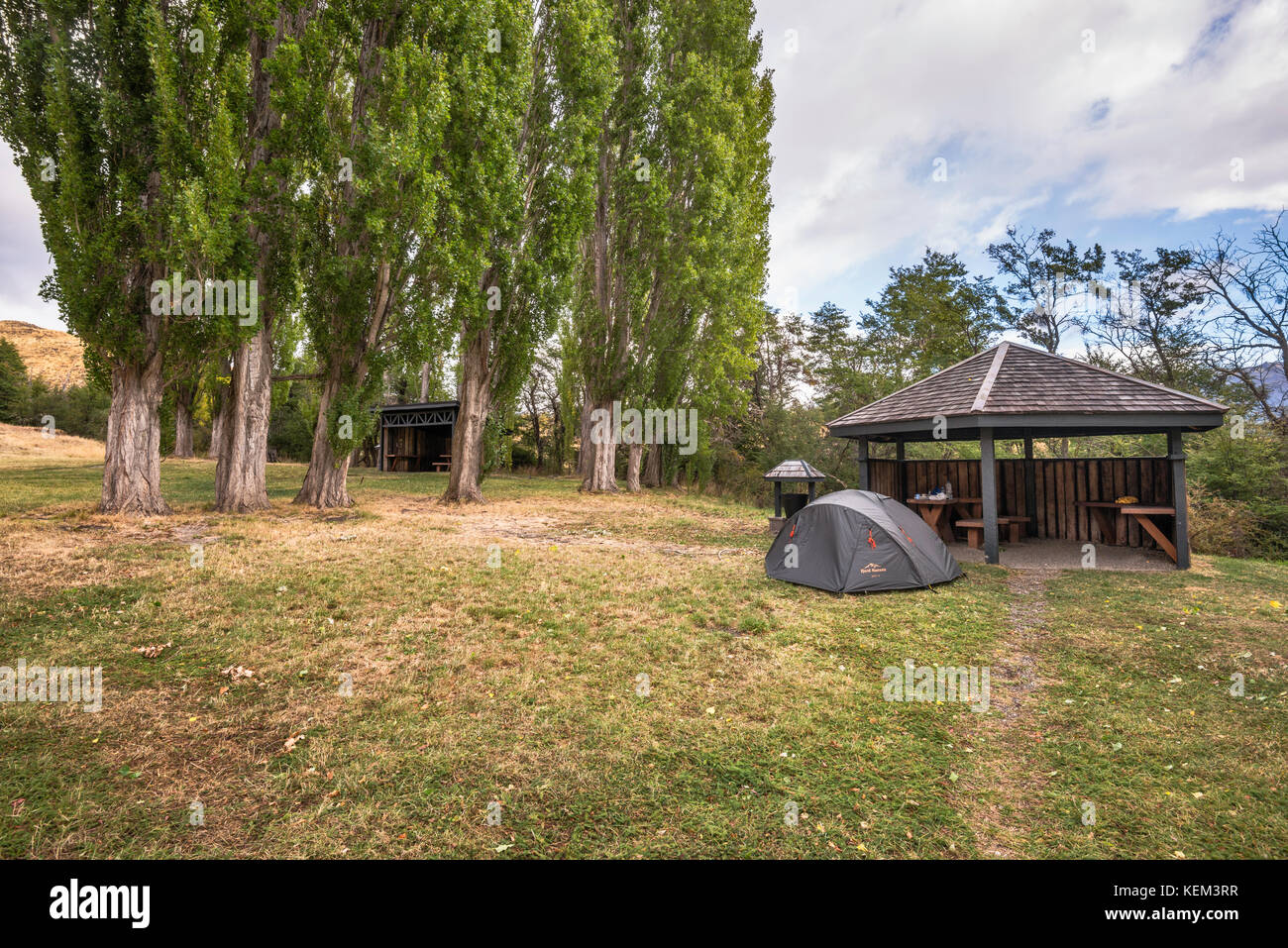 Row of poplars at Westwinds Camping campground at Chacabuco Valley ...