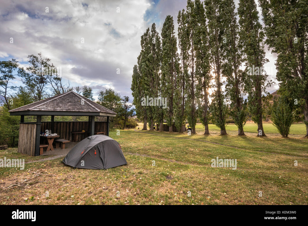 Row of poplars at Westwinds Camping campground at Chacabuco Valley ...