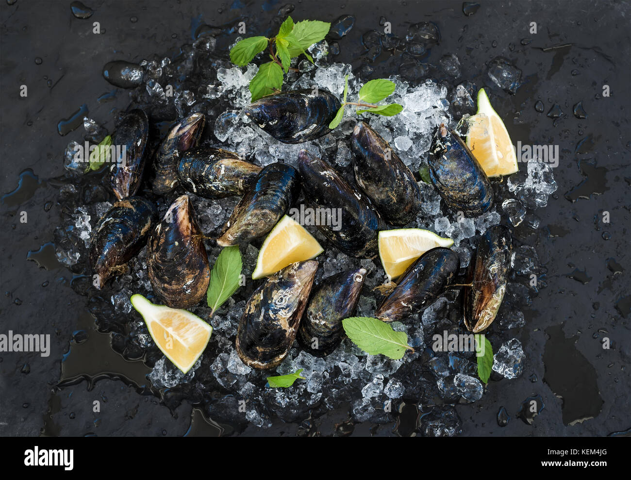Fresh uncooked mussels with lemon, herbs and spices on chipped ice over ...