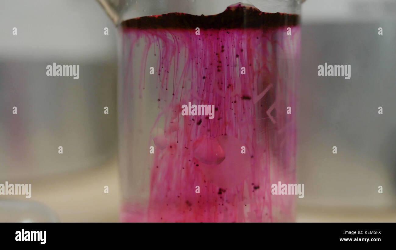 Colored beautiful chemical reaction in flask. Pink or red liquid ...