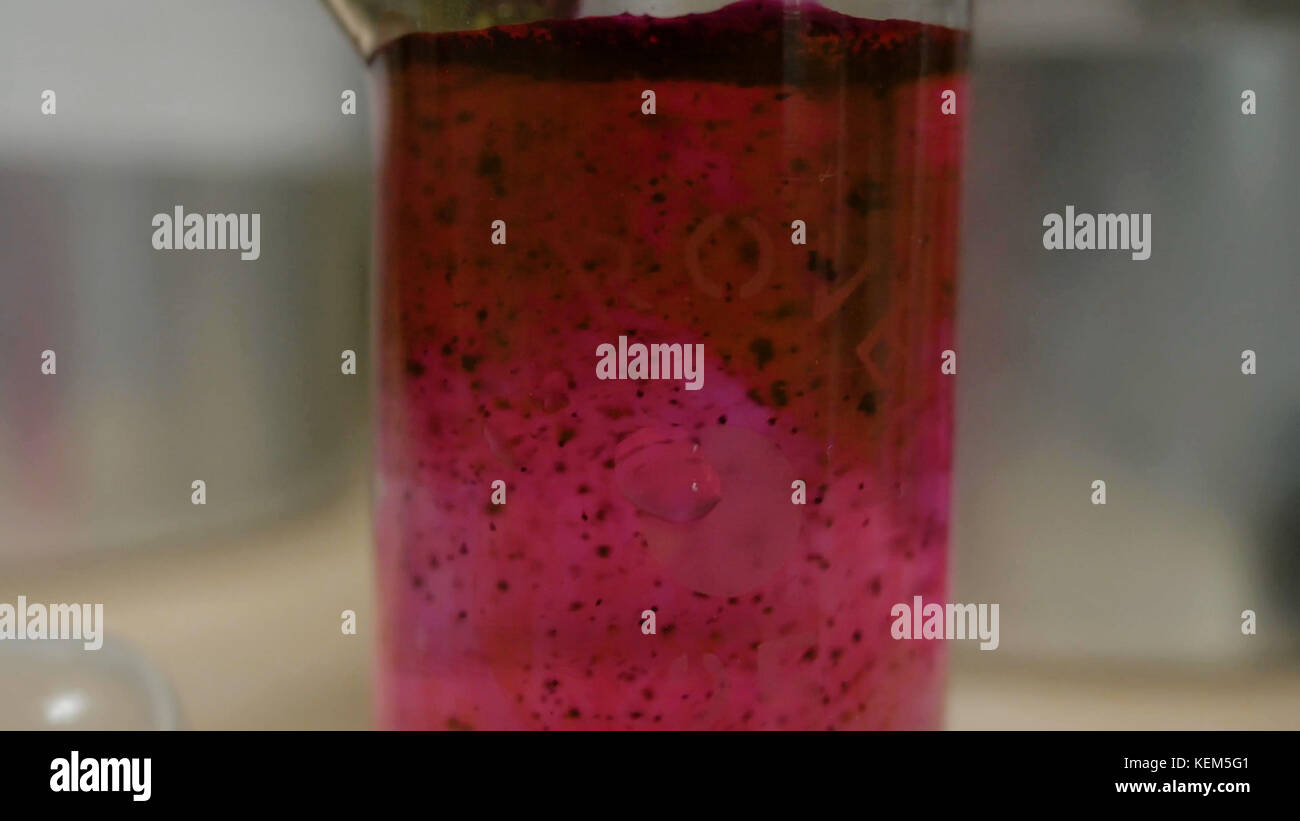 Colored beautiful chemical reaction in flask. Pink or red liquid ...