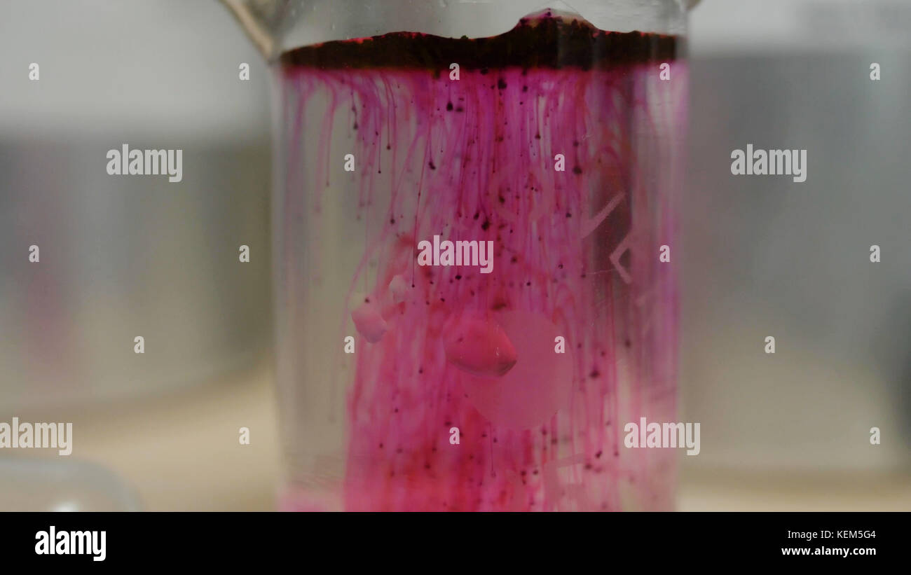 Colored beautiful chemical reaction in flask. Pink or red liquid ...