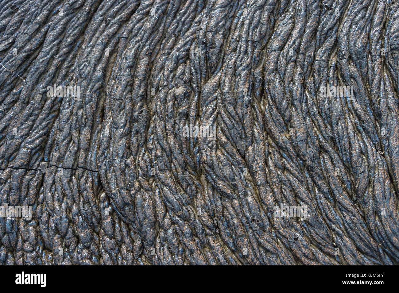 Pahoehoe or rope lava, on Rabida Island, Galapagos. It is formed of ...