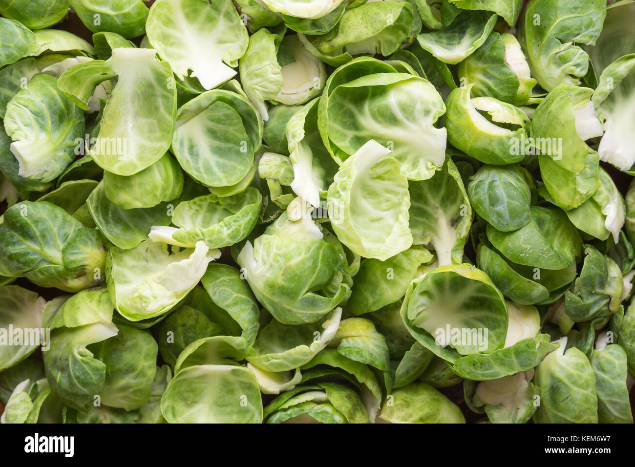Vegetable sprout kitchen hi-res stock photography and images - Alamy
