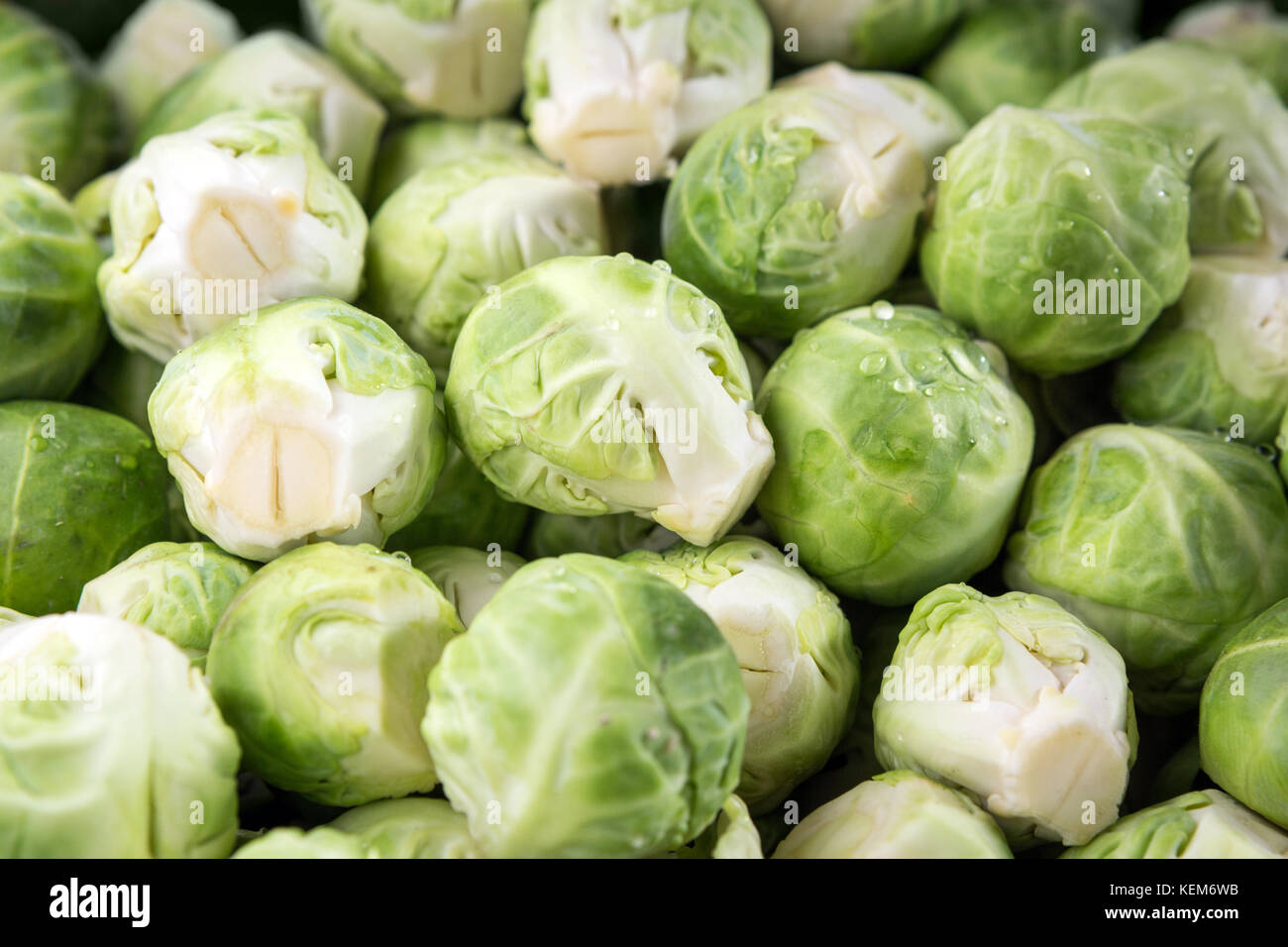 Peeled brussel sprouts hi-res stock photography and images - Alamy