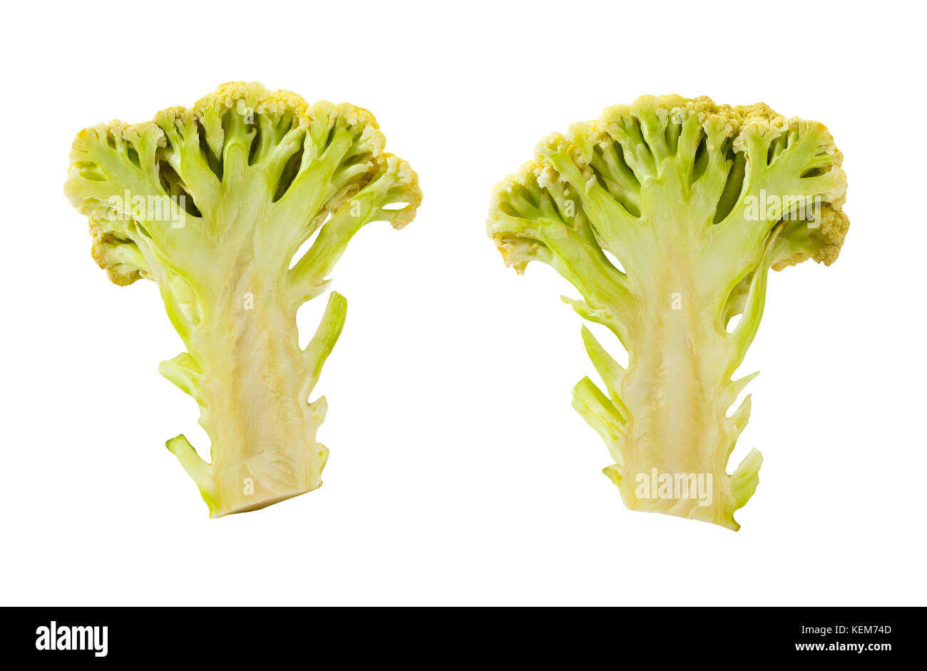 Cross-section cut of cauliflower isolated on white background (clipping ...