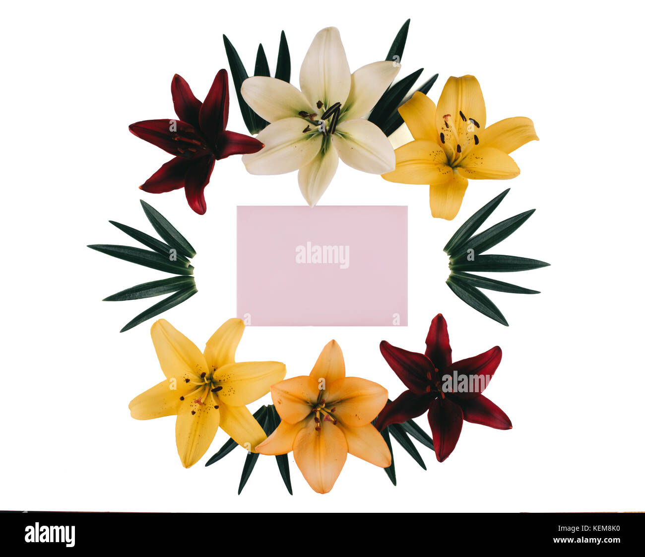 Beautiful lilies with leaves isolated on white background. Top view ...
