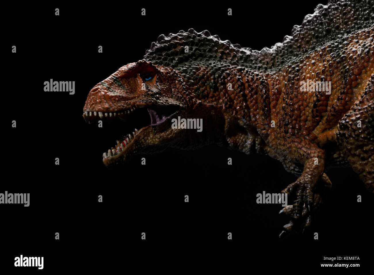 acrocanthosaurus toy on a black background Stock Photo - Alamy