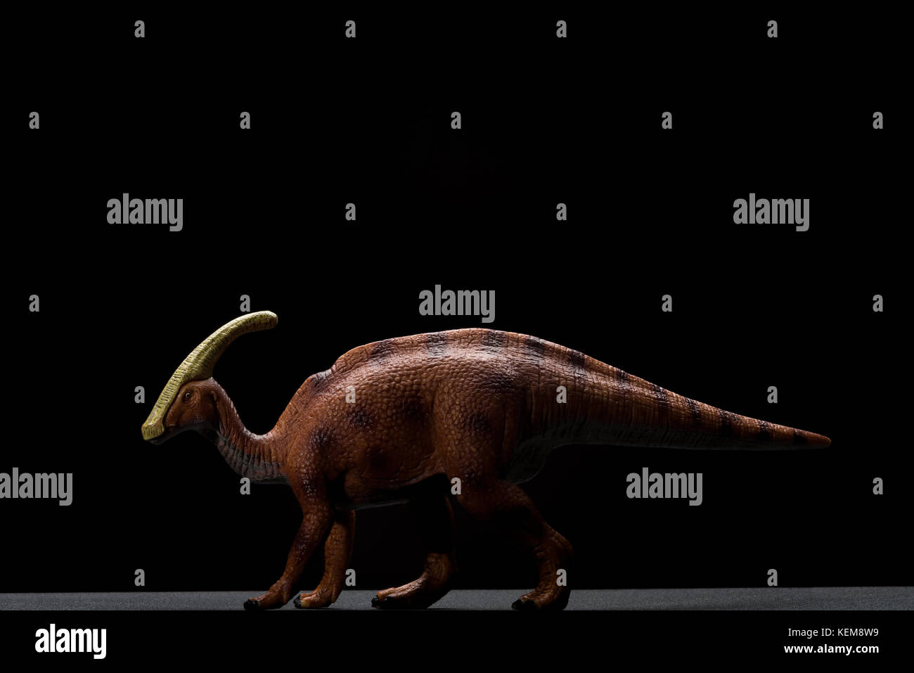 side view Parasaurolophus toy on a dark background Stock Photo - Alamy