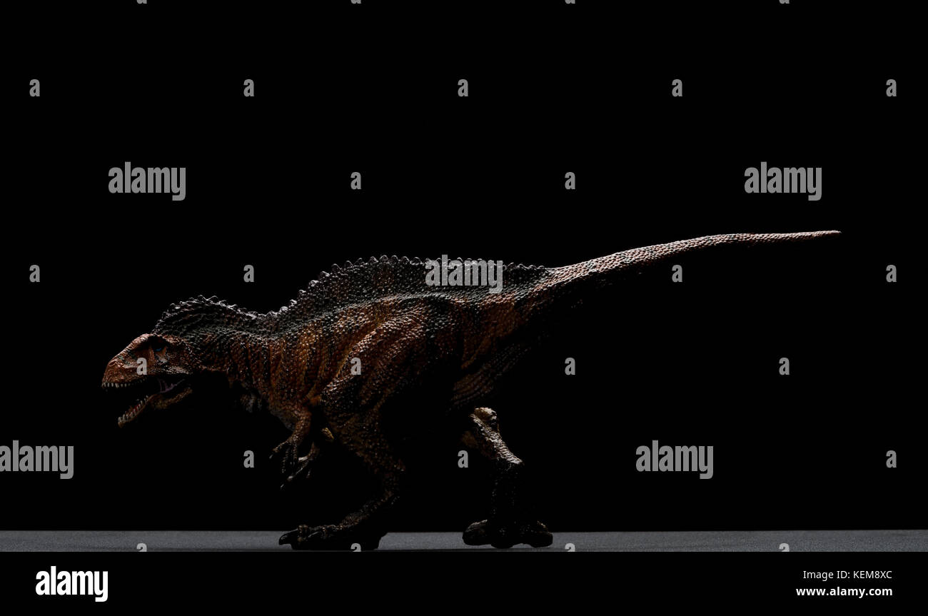 side view acrocanthosaurus toy on a black background Stock Photo - Alamy