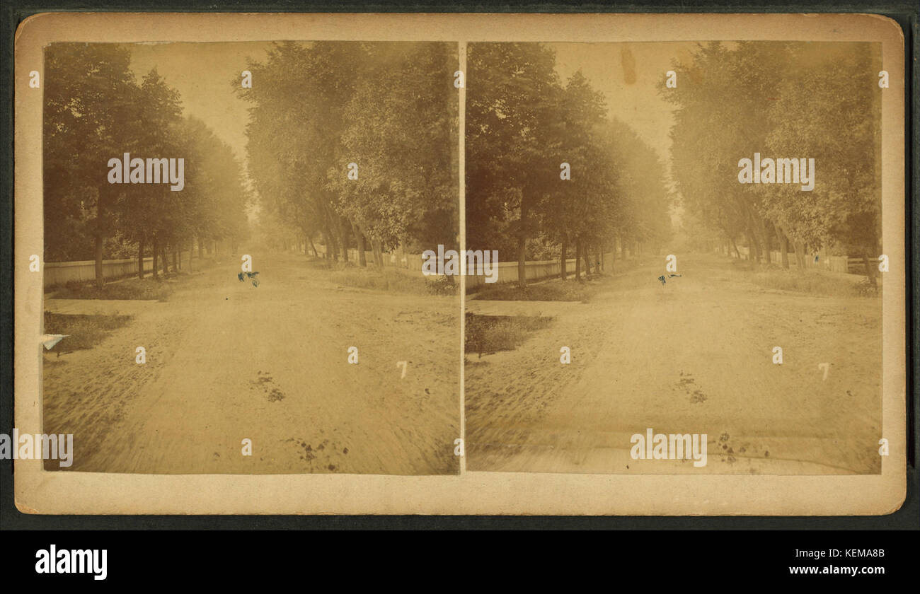 Black white view trees hi-res stock photography and images - Alamy