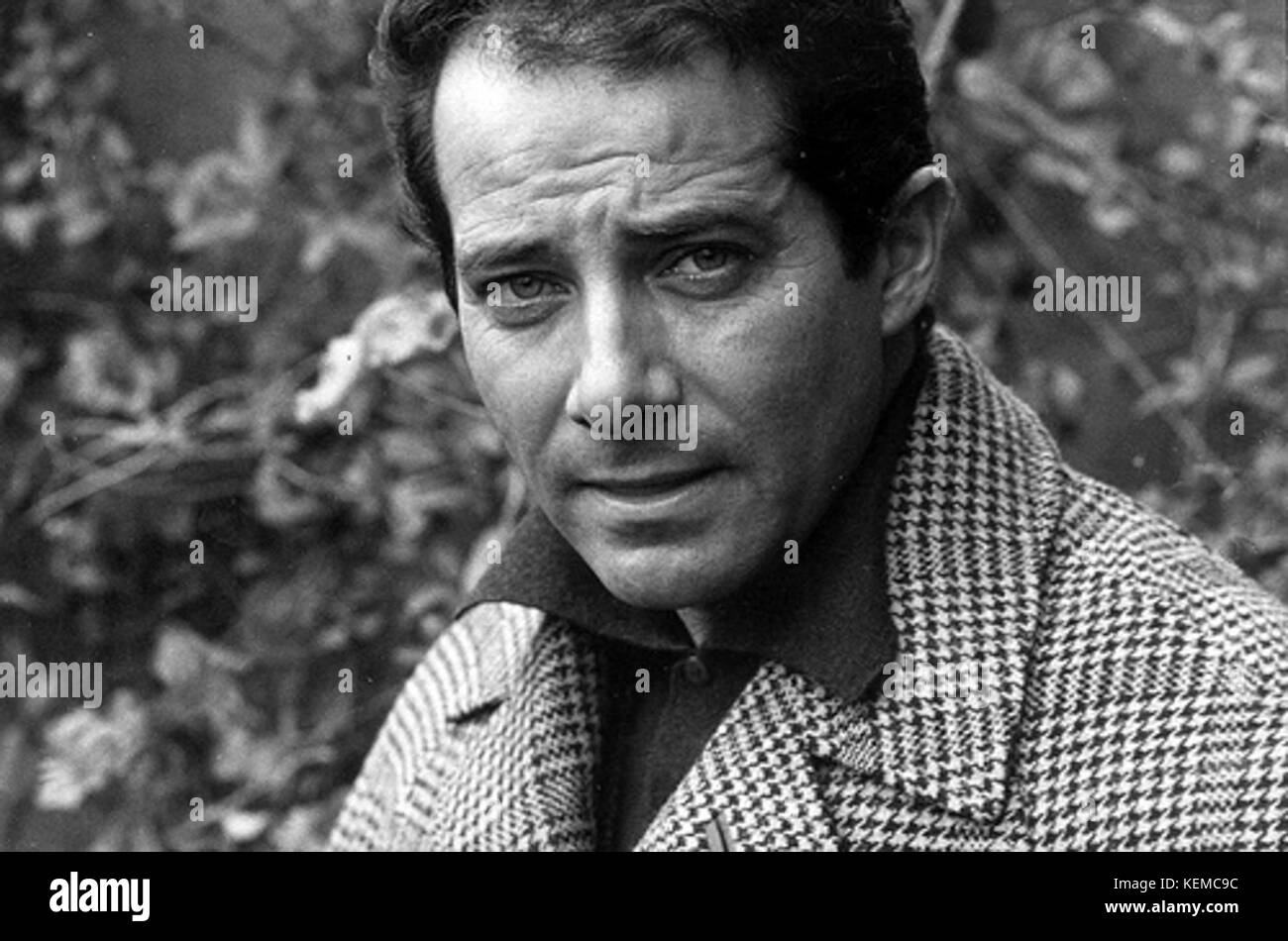 Gillo hi-res stock photography and images - Alamy