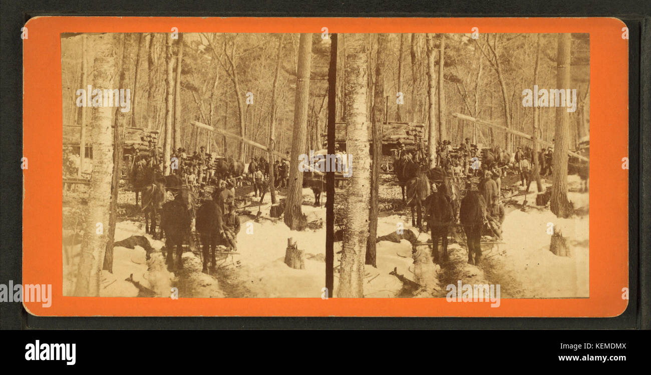 American historical logging hi-res stock photography and images - Alamy