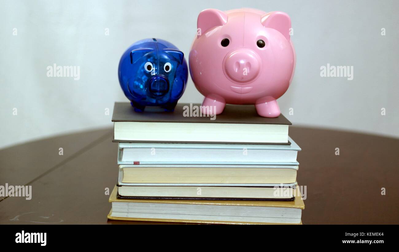 Small blue piggy bank and larger pink piggy bank standing atop a stack ...