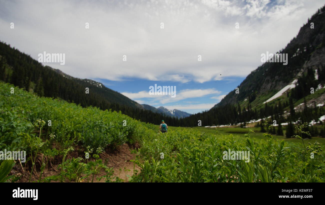 Exploring Washington State, the Great Pacific Northwest Stock Photo - Alamy