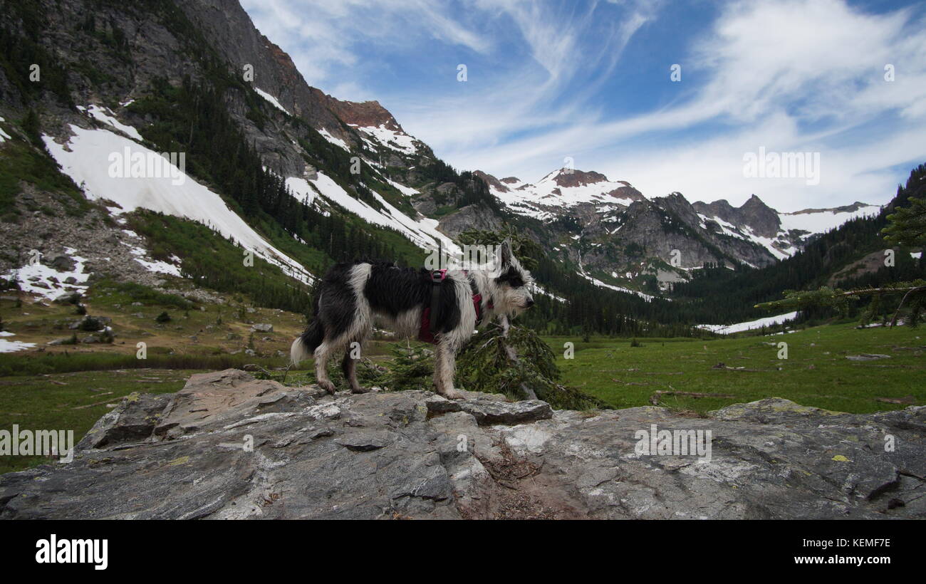 Exploring Washington State, the Great Pacific Northwest Stock Photo - Alamy