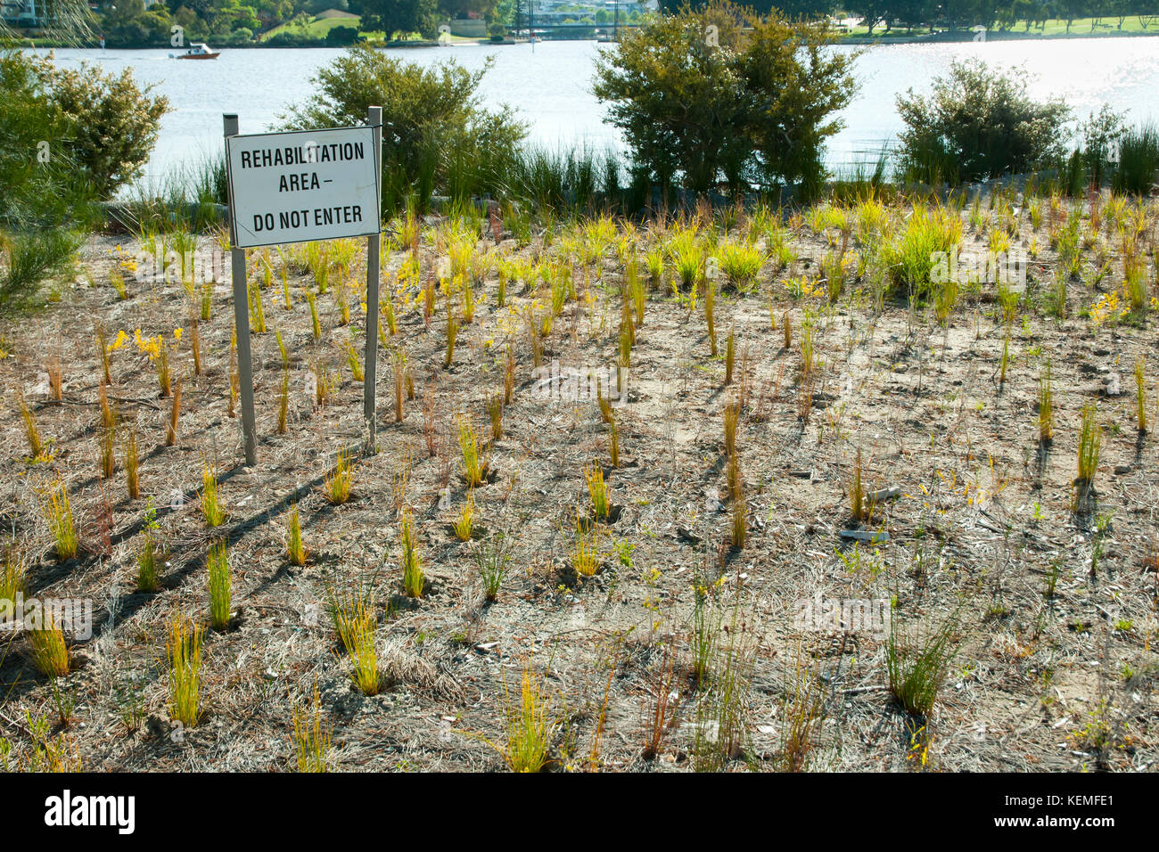 Restorative conservation hi-res stock photography and images - Alamy