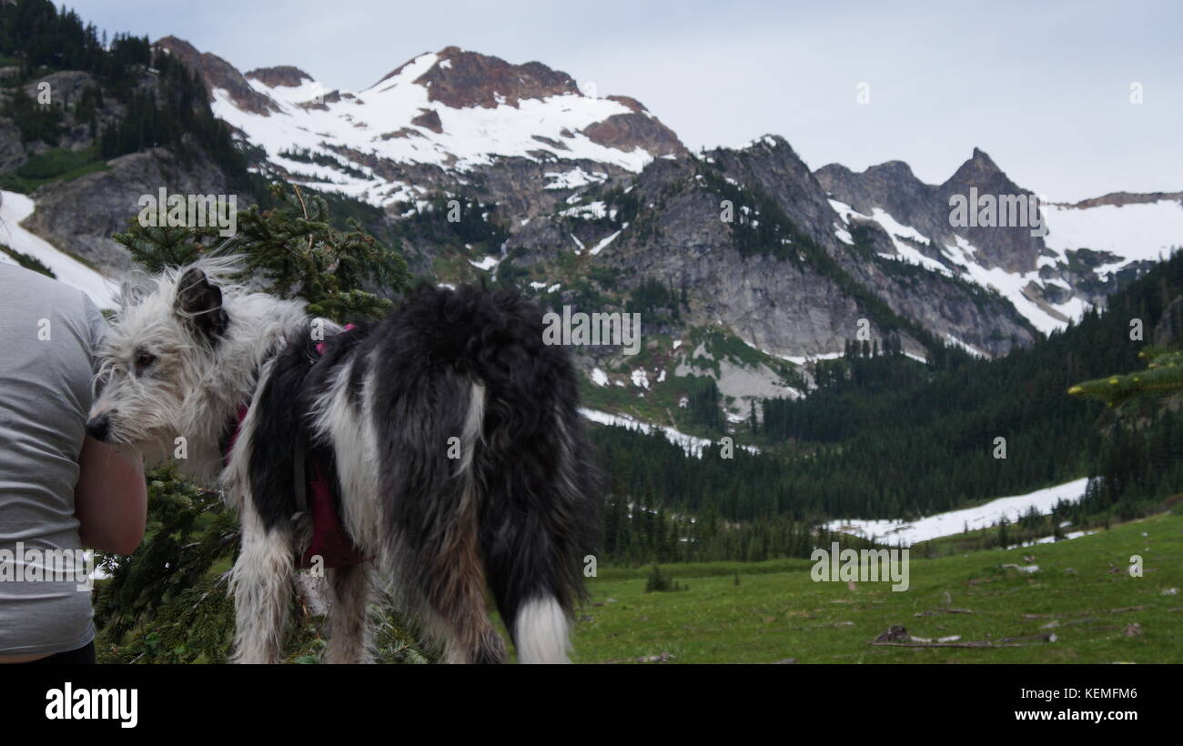 Exploring Washington State, the Great Pacific Northwest Stock Photo - Alamy
