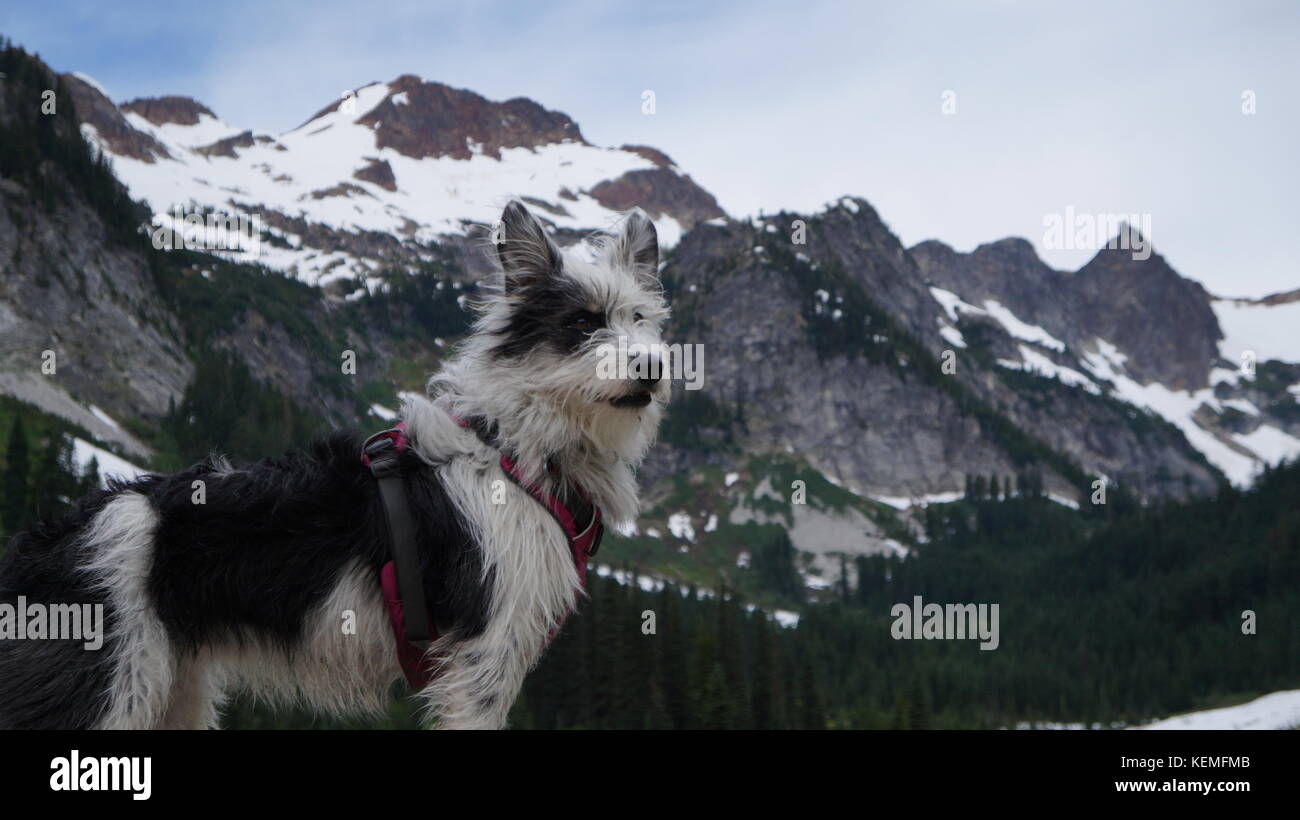 Exploring Washington State, the Great Pacific Northwest Stock Photo - Alamy
