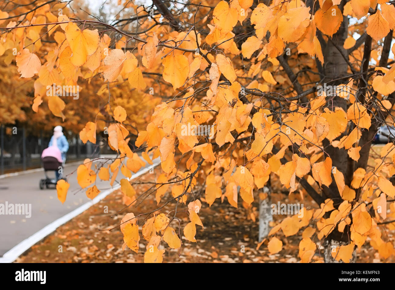 Children on the street play Stock Photo - Alamy
