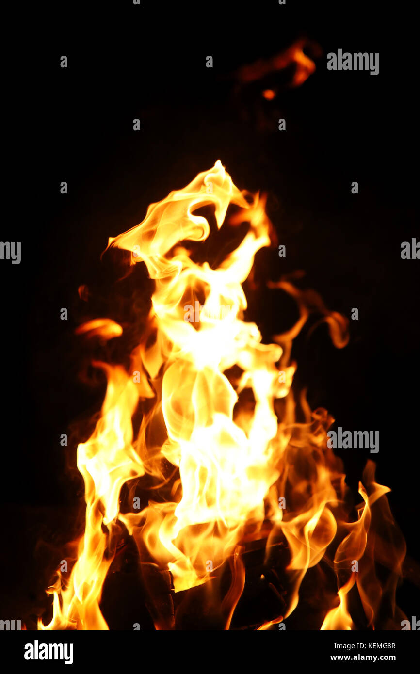 Tongues of flame of fire of orange-yellow color from burning fir Stock ...