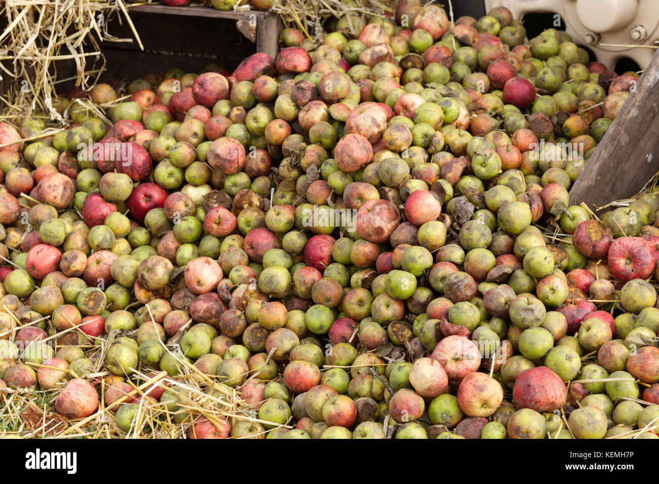 Havest hi-res stock photography and images - Alamy