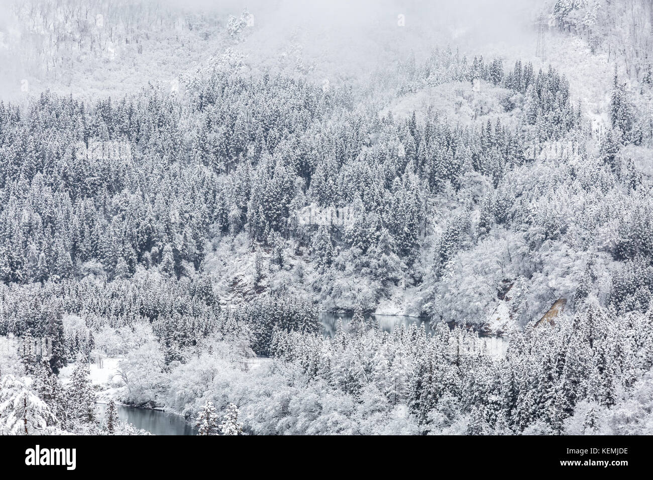 snow forest in winter landscape Stock Photo - Alamy