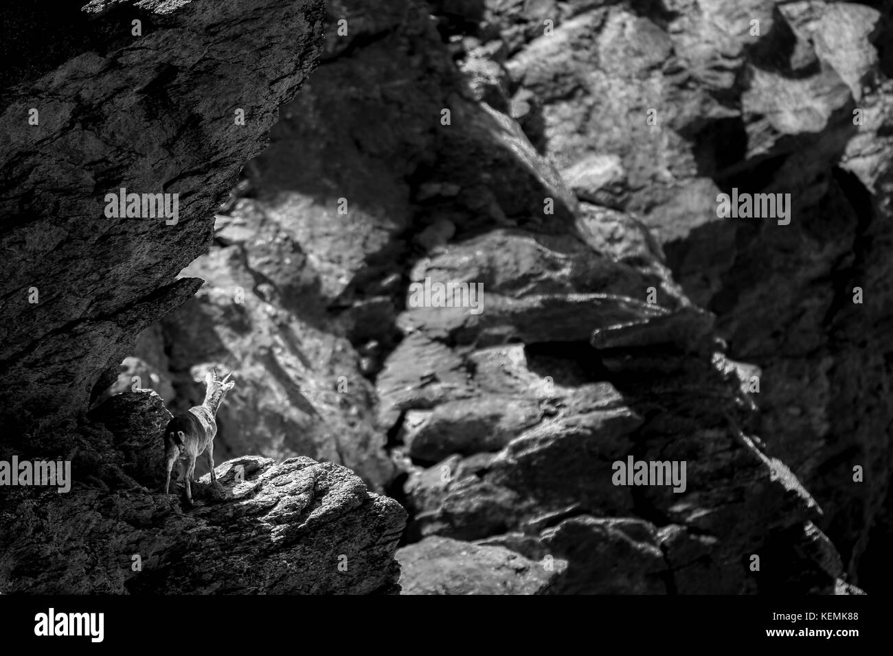 Black white shot hill Black and White Stock Photos & Images - Alamy