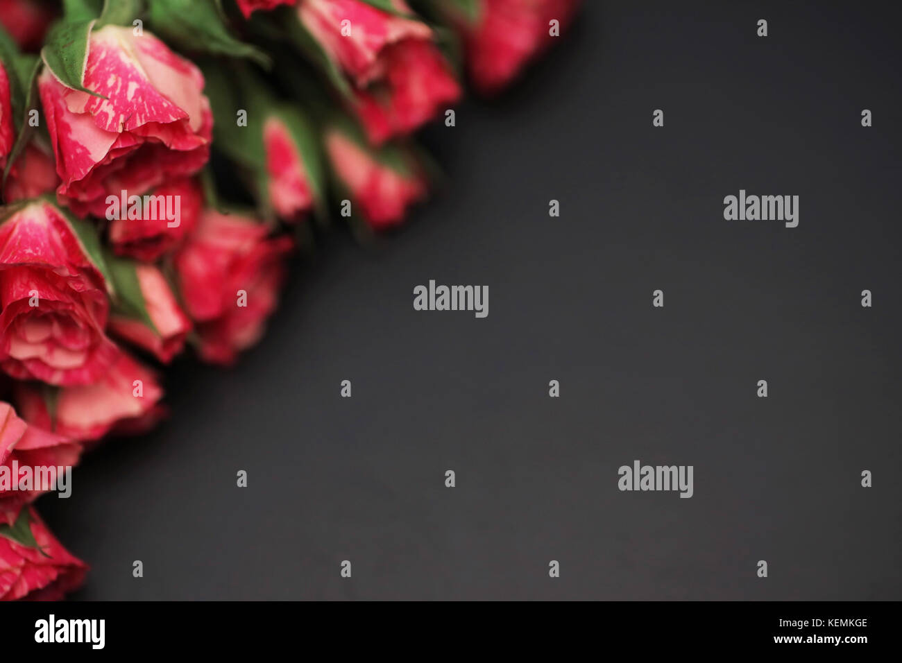 Bouquet of red roses on a black matte background Stock Photo - Alamy