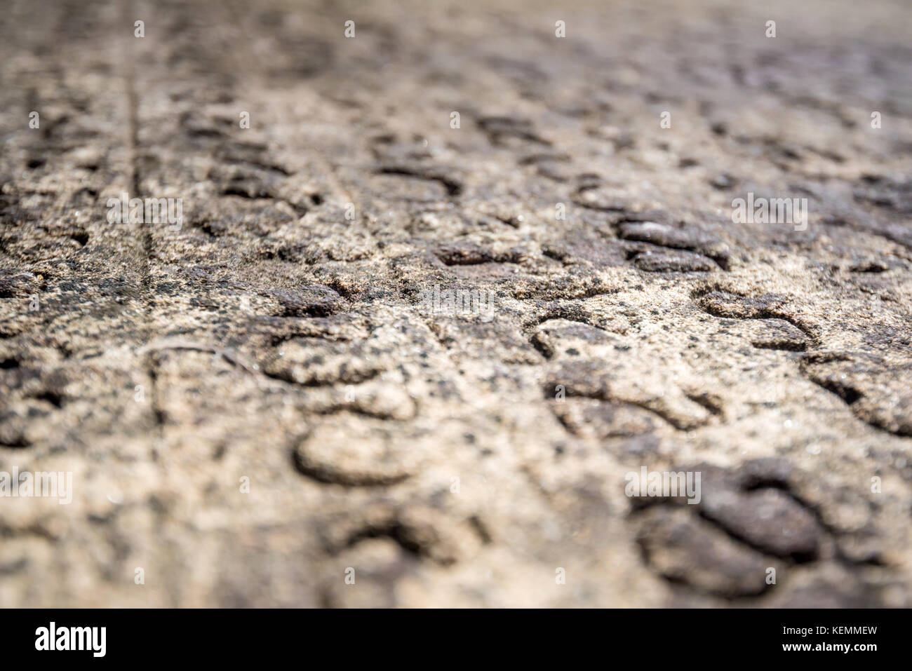 Ancient Sinhalese Scripts Stock Photo - Alamy