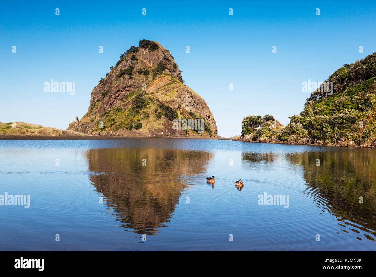 Lion Rock, Piha, Auckland Region, New Zealand, reflecting in the Piha ...