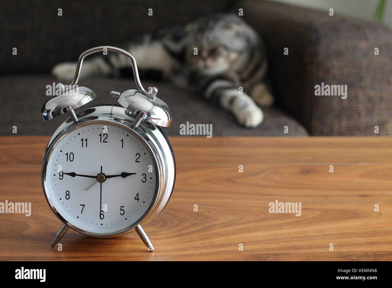 Still life / Composition with alarm clock Stock Photo - Alamy