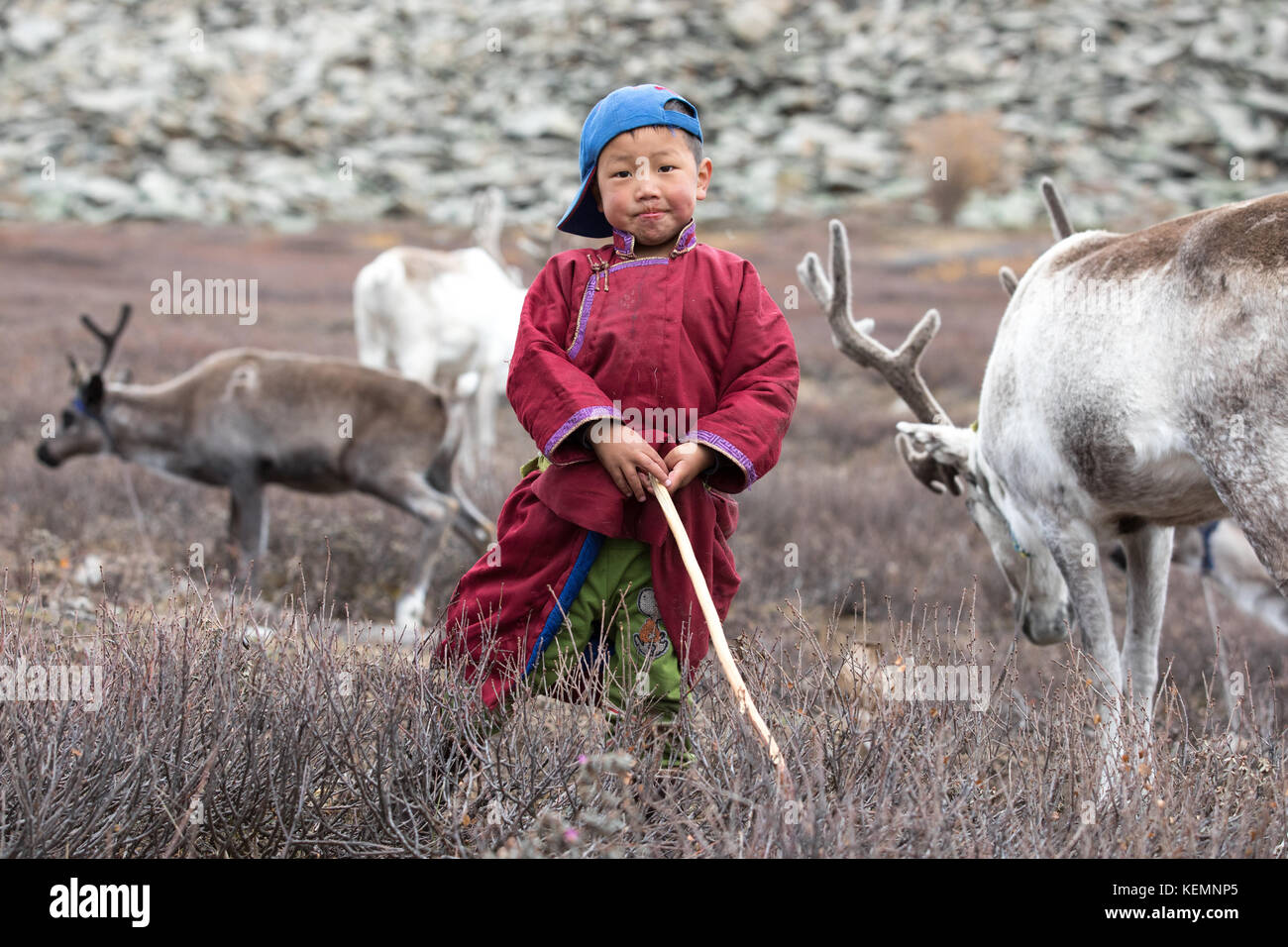 Little tsaatan boy in traditional Mongolian nomad outfit posing with ...