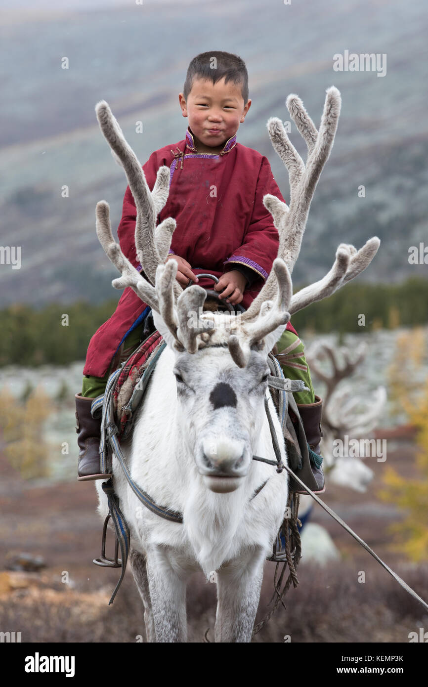 Little tsaatan boy in traditional Mongolian nomad outfit riding on his ...
