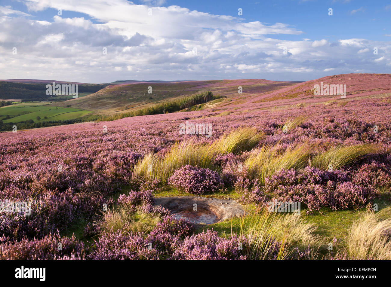 Cleveland Hills from Battersby Moor North York Moors national park ...