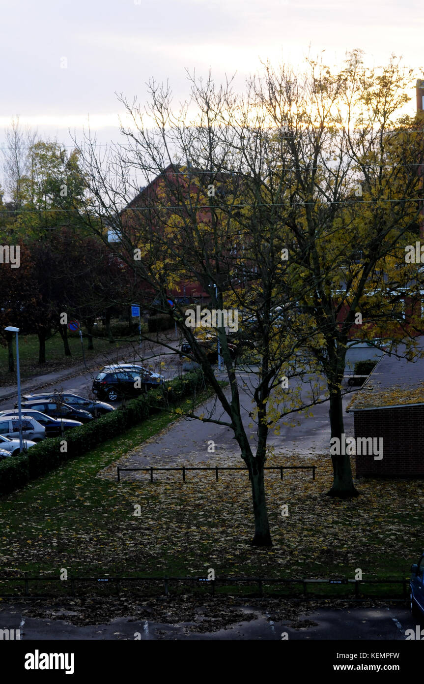 Kastrup/Copenhagen /Denmark - 22.October 2017. Sunsets over Kastrup ...