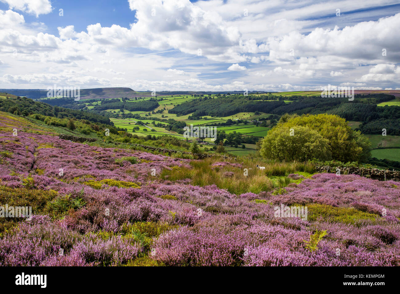 Bilsdale moors hi-res stock photography and images - Alamy