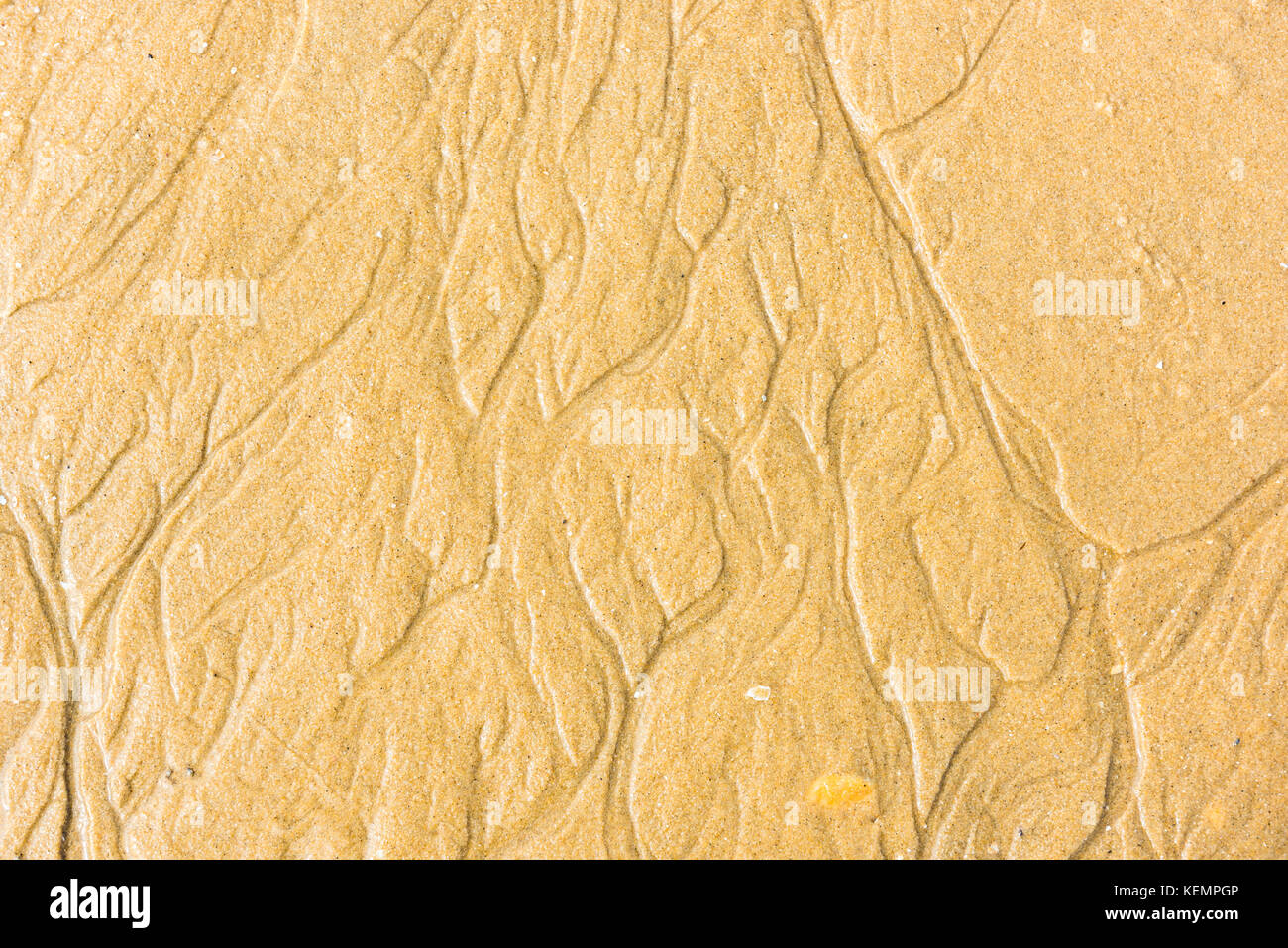 Top view of a sand sea bottom for background and texture Stock Photo ...