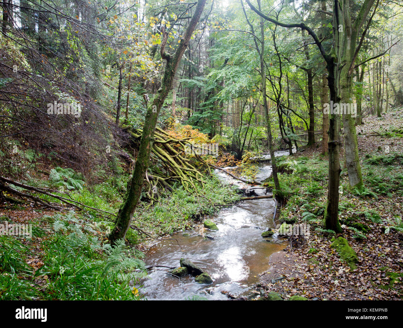Gore water, near Borthwick Castle, where Mary, Queen of Scots stayed ...