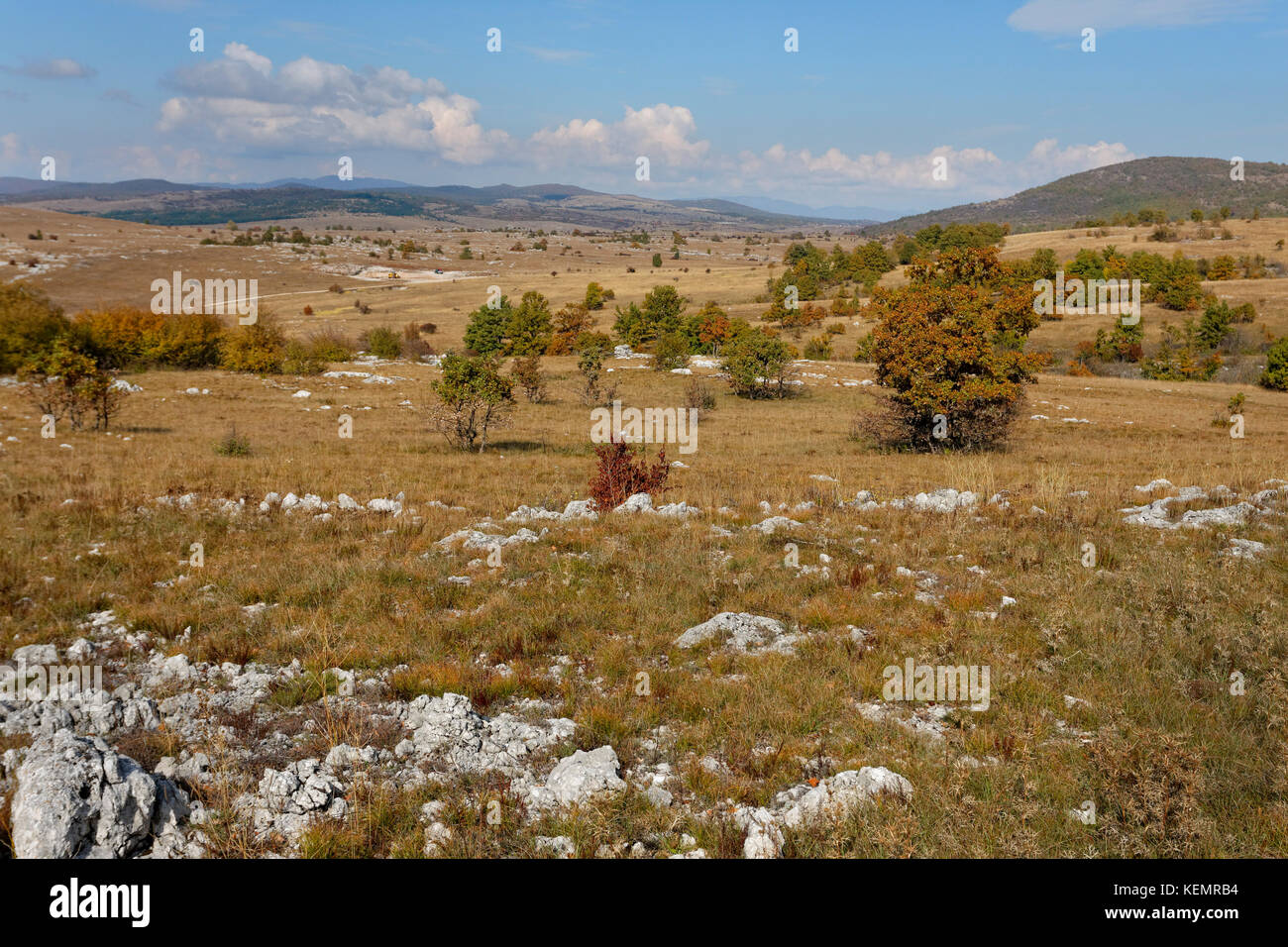 Highland shrub hi-res stock photography and images - Alamy