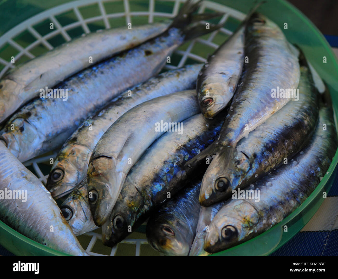Sardines sea hi-res stock photography and images - Alamy