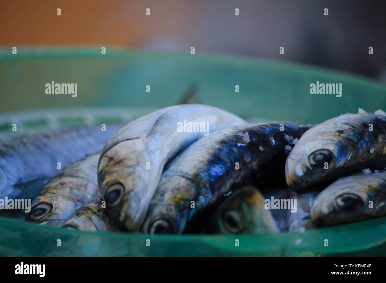 Closeup of sardines hi-res stock photography and images - Alamy