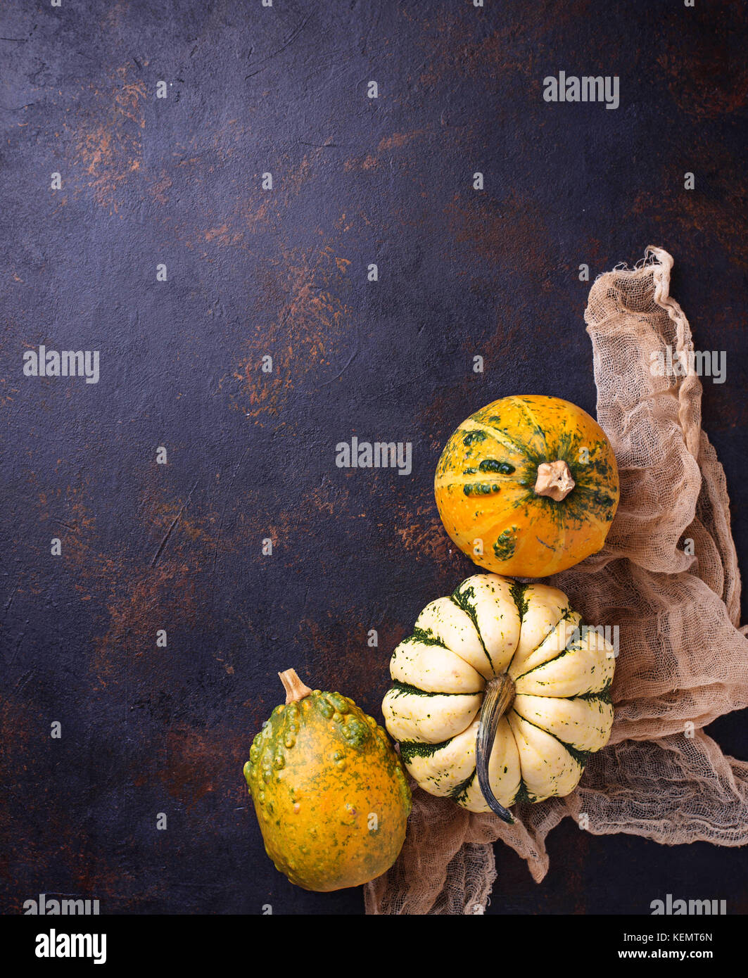 Decorative pumpkins on rusty background Stock Photo - Alamy