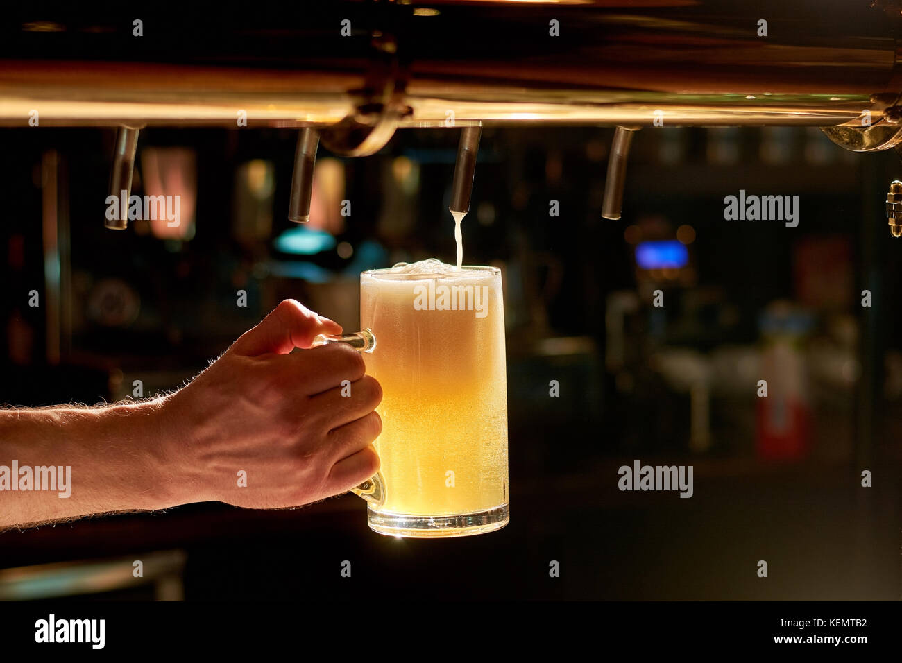 Dispensing draught beer in glass. Barman hand at beer tap pouring fresh ...