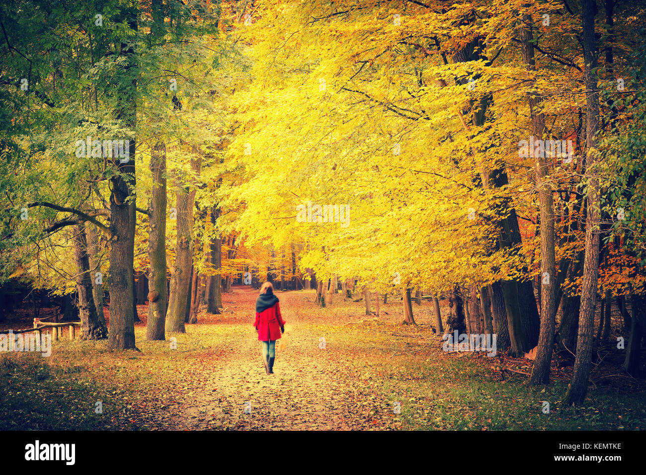 Pathway in autumn park Stock Photo - Alamy