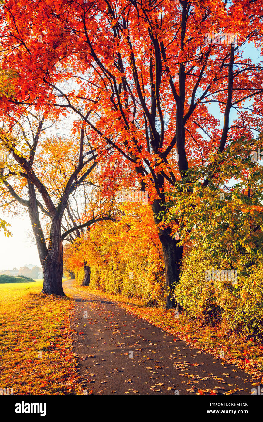 Pathway in autumn park Stock Photo - Alamy